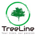 Arborist Perth | 5-Star Rating on Google | TreeLine
